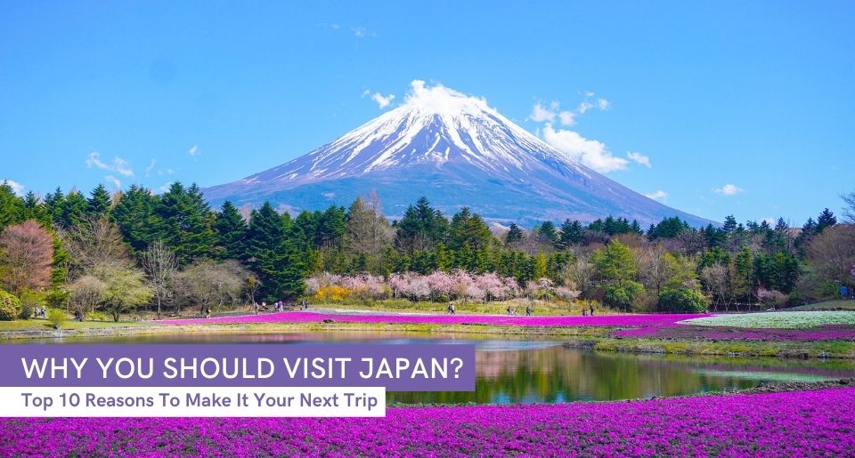 Why Visit Japan: 10 Reasons Your Next Travel Destination MUST be the ...